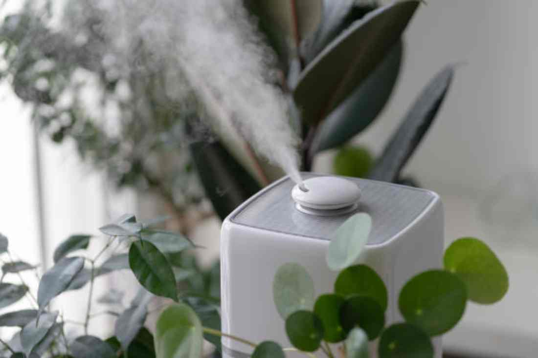 Humidifier- About, Benefits, Uses, and More
